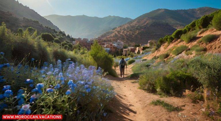 Nature's Paradise: Hiking Trails for Nature Enthusiasts in Chefchaouen